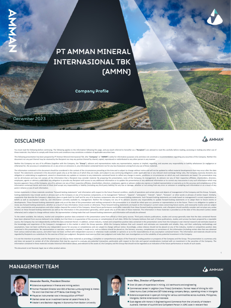 AMMAN Company Profile December 2023 | Download Free PDF | Mining ...