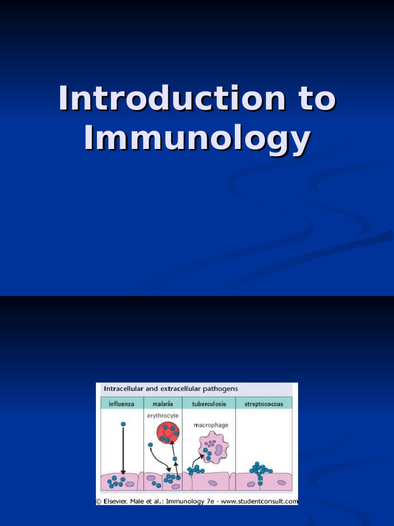Immunology Basics for Self-Improvement | PDF | Self-Improvement