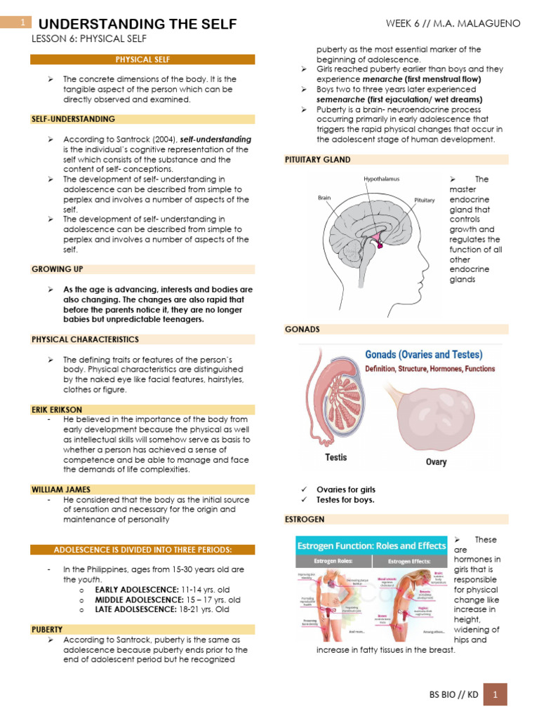 UTS W6 PhysicalSelf | PDF | Adolescence | Self Concept
