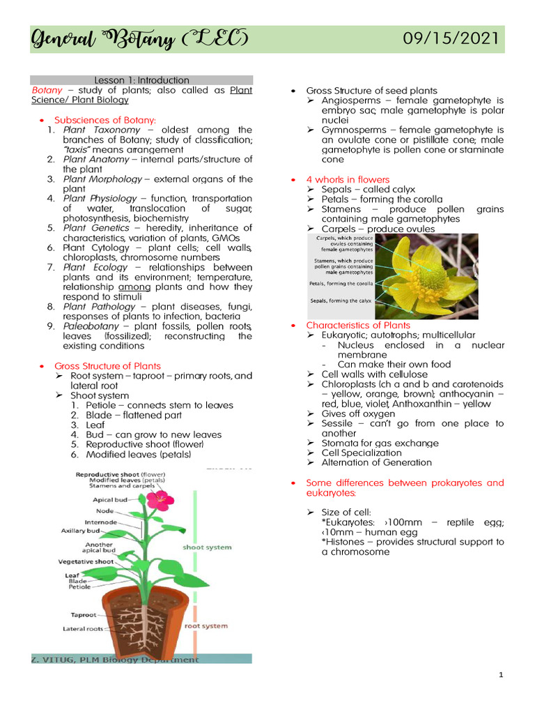 Botany W1 Plant Intro Pdf