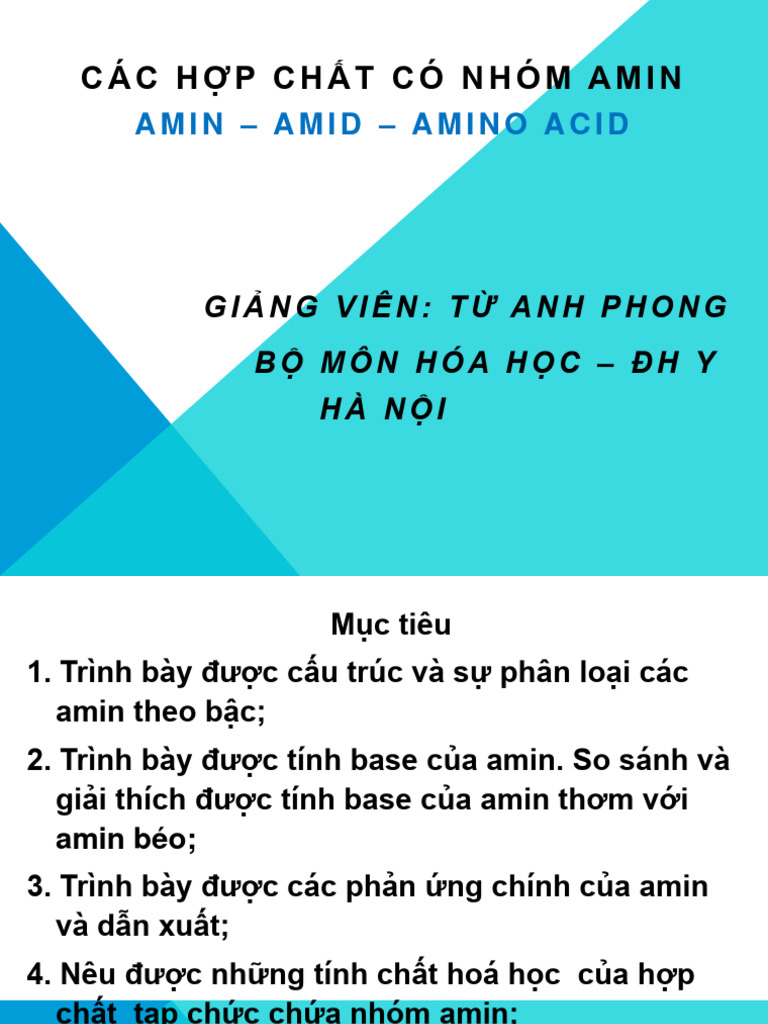 Amin-Amid-Amino Acid | PDF