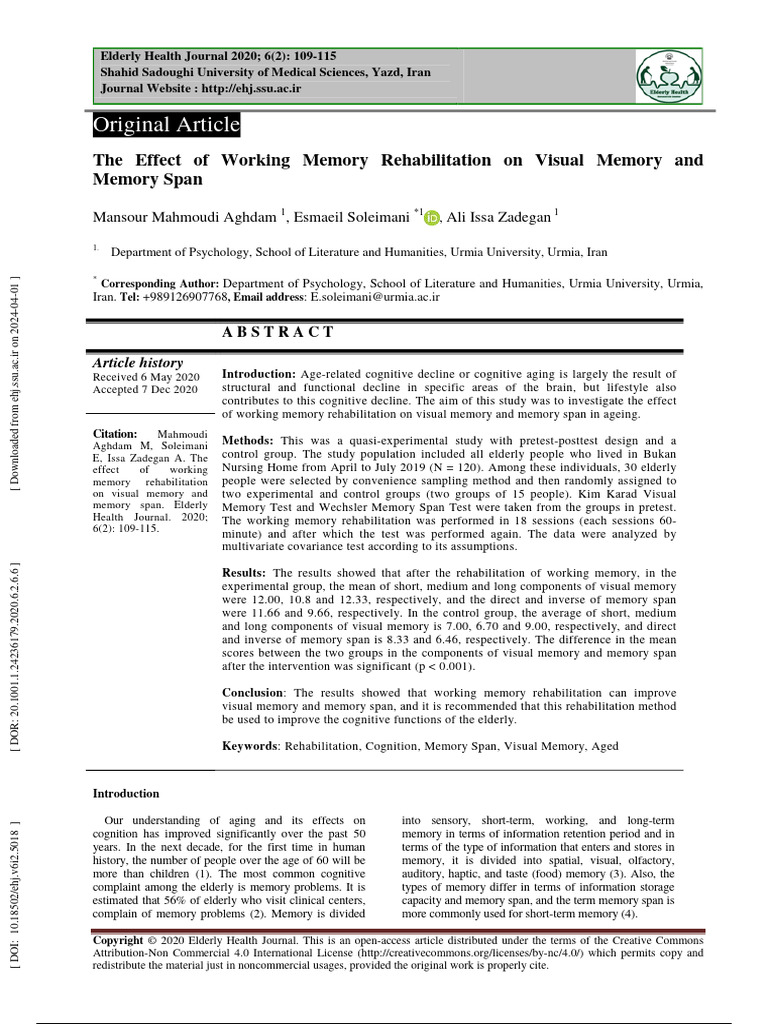 Working Memory Rehabilitation | PDF | Memory | Working Memory