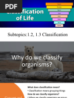 Classification Mnemonics for Taxonomy | PDF