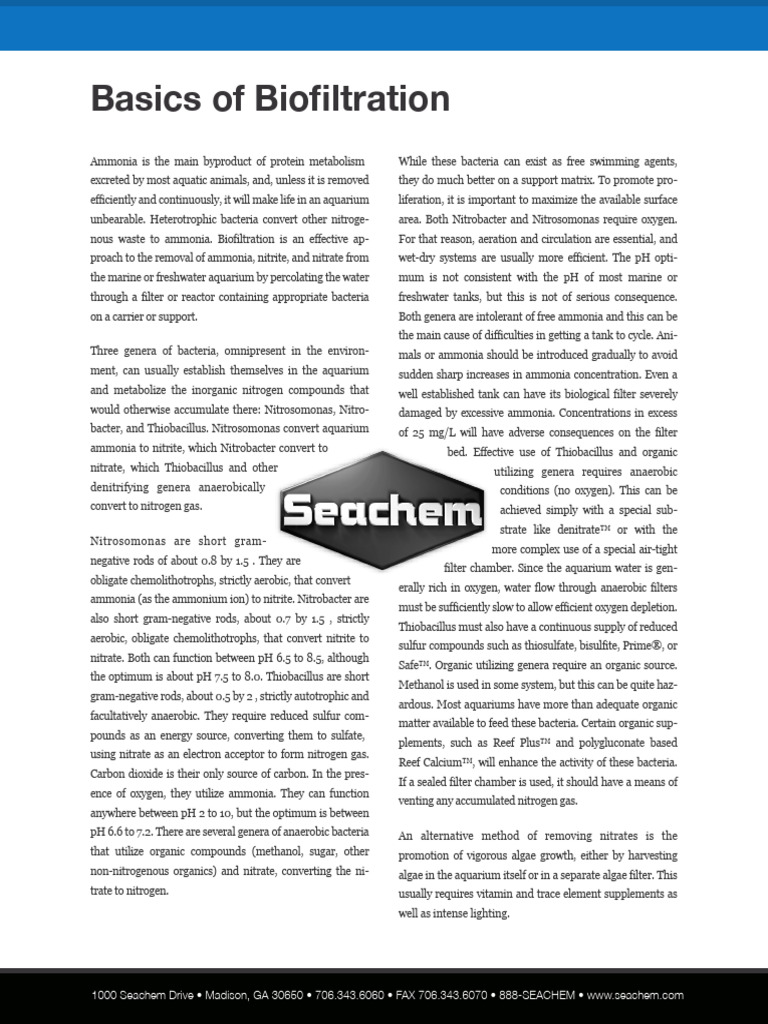 Basics of Biofiltration | PDF | Aquarium | Ammonia
