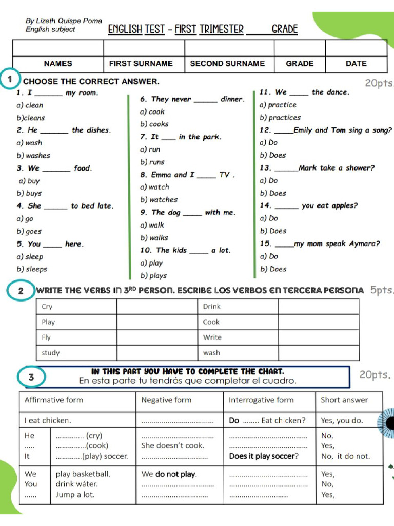 Test Simple Past and Present | PDF