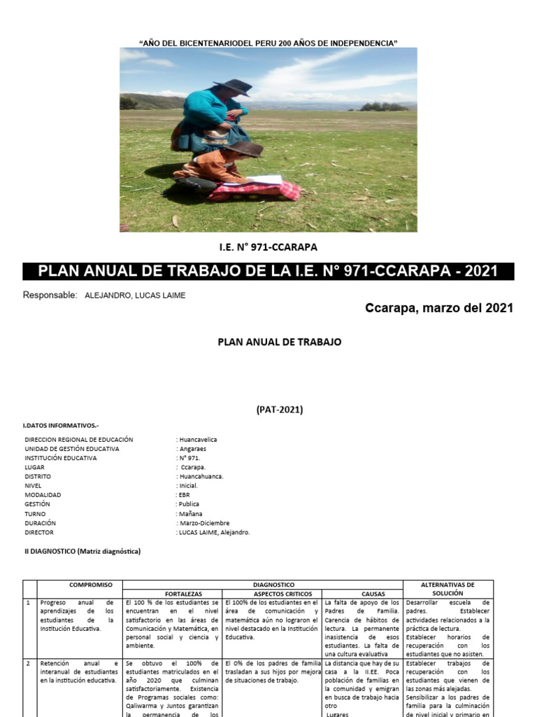 Pat Ccarapa 971 | PDF | Maestros | Evaluación