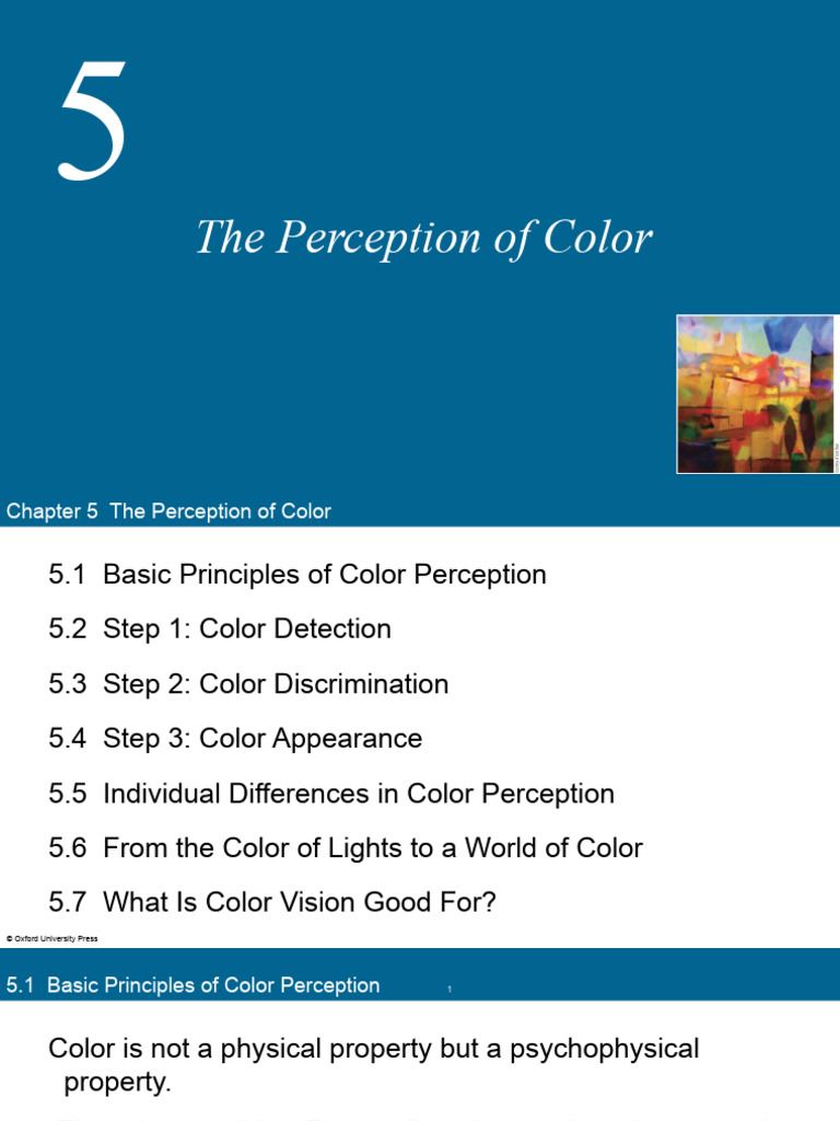 Understanding Color Perception Steps | PDF | Color | Visual Perception