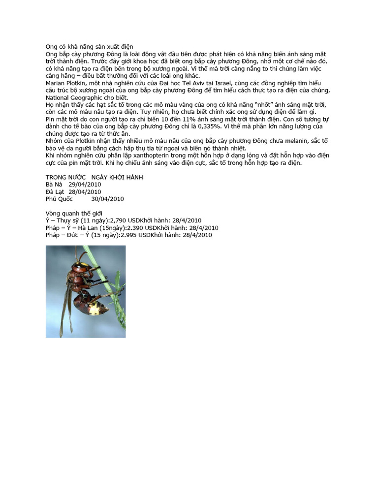 DE THI - 319 - UDCB - Dulieu | PDF