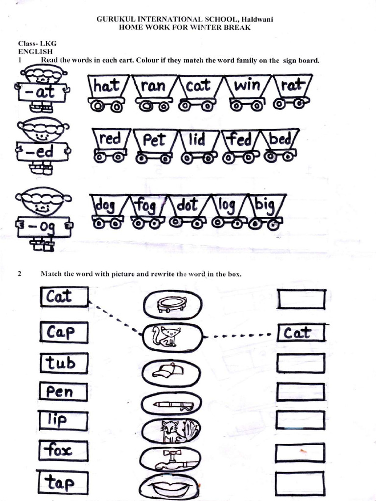 Class LKG Winter Break Home Work 2023 24 | PDF