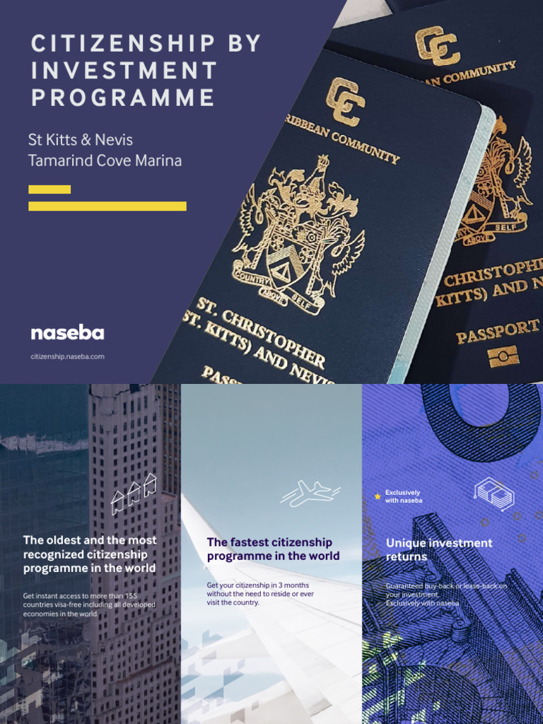 CBI - Full Document | PDF