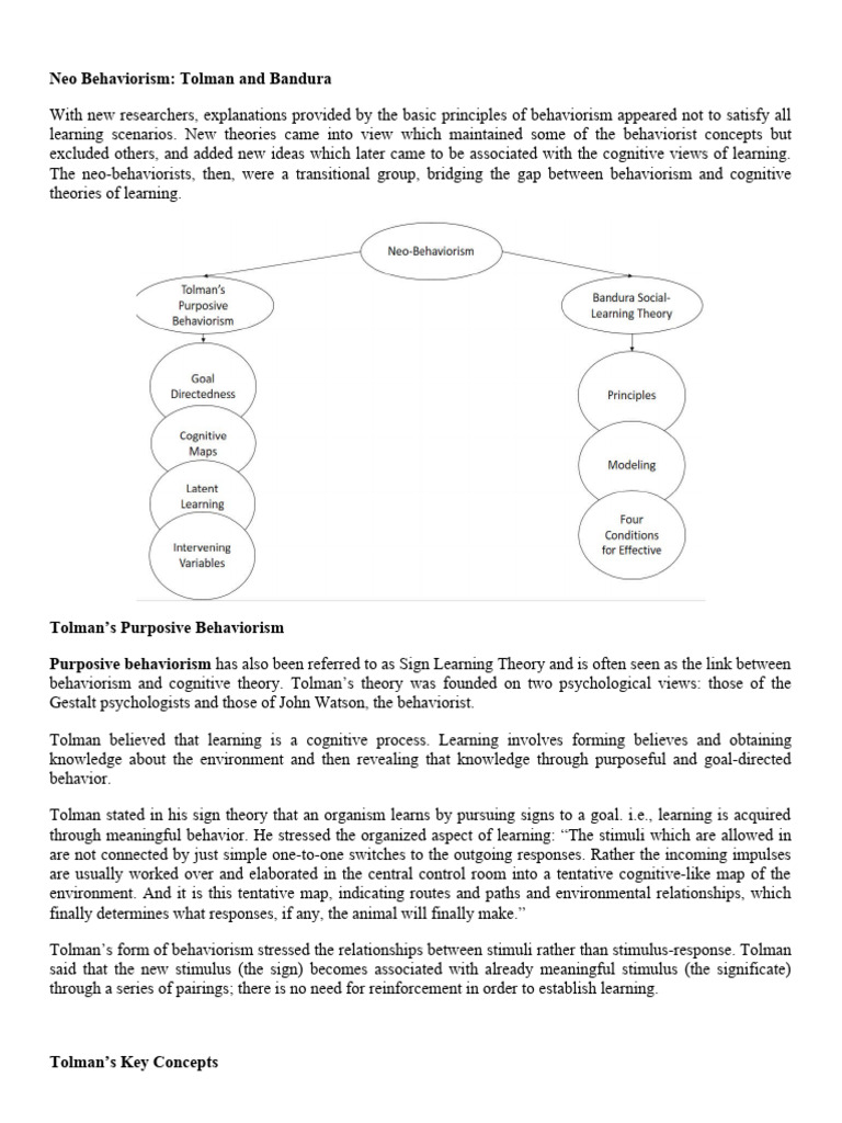 Social Learning Theory | PDF | Learning | Behaviorism