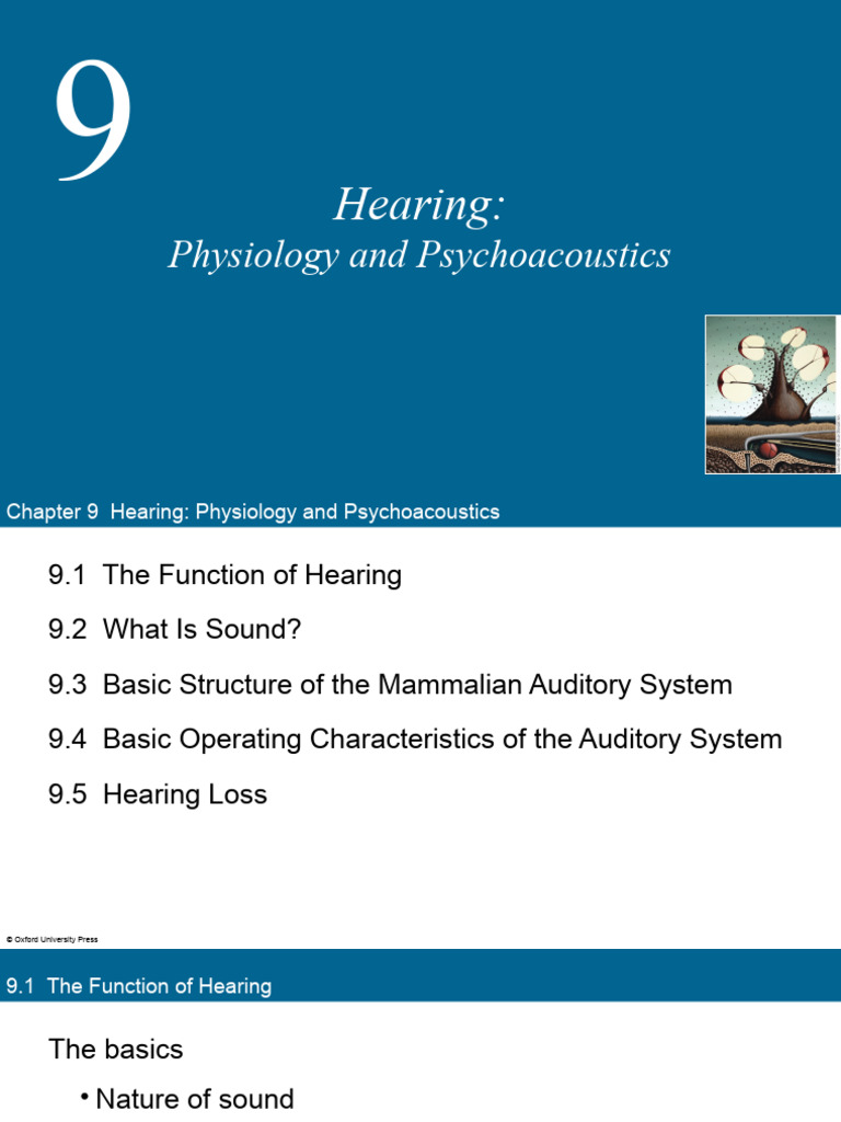 Wolfe6e Lectureppt ch09 | PDF | Ear | Sound