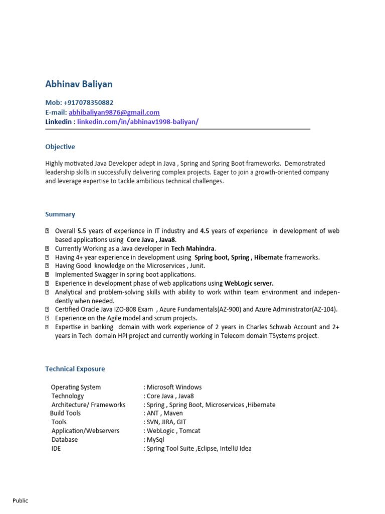 Naukri AbhinavBaliyan (5y 5m) | PDF | Payment Card Industry Data ...