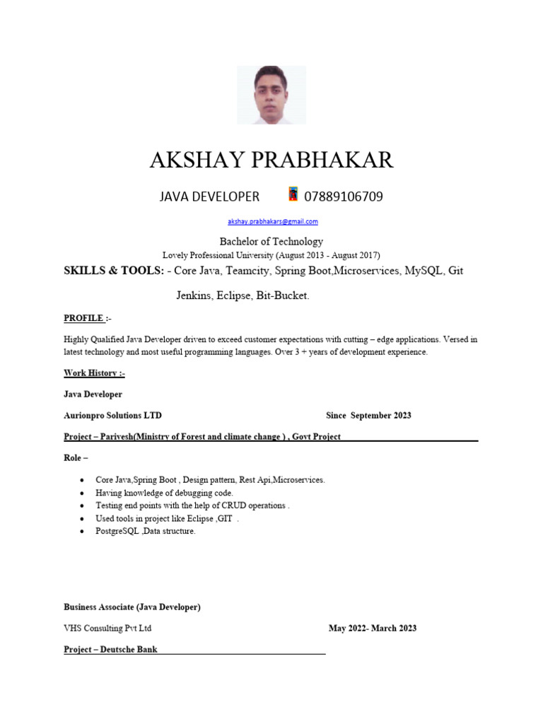 Java Developer Career Profile | PDF | Eclipse (Software) | Java (Programming Language)