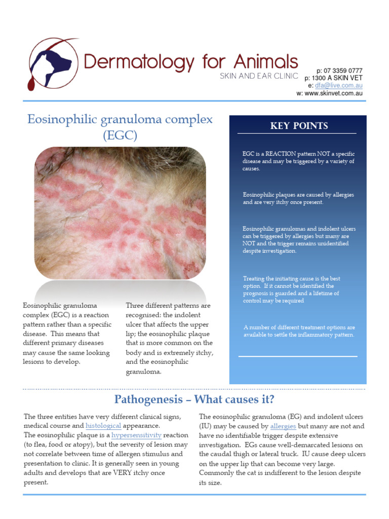 Eosinophilic Granuloma Complex | PDF | Allergy | Cutaneous Conditions
