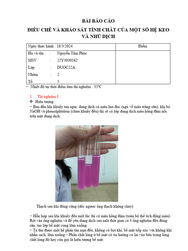 Bài Báo Cáo HLD | PDF