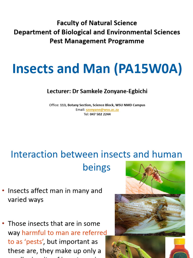 Insects & Man - INTRO | PDF | Insects | Entomology