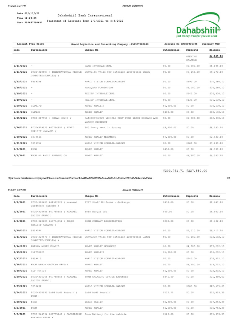 Bank Statement- Dahabshiil Bank | PDF | Service Industries | Banking