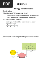 Unit Five Last One Grade 11 Biology Energy Transformation | PDF ...