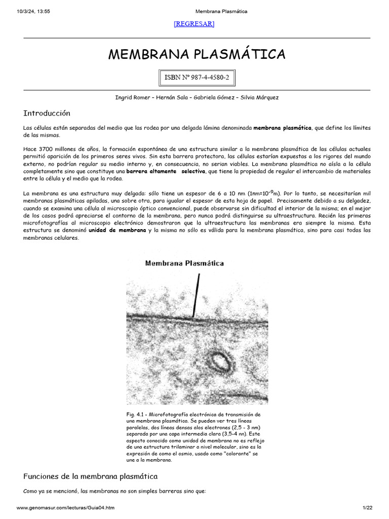 Funciones y Estructura de la Membrana Plasmática | PDF | Membrana ...