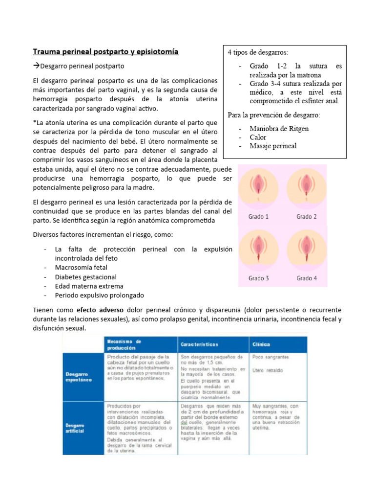 Trauma perineal postparto y episiotomía | PDF | Parto | Periodo posparto