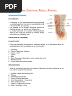 Omentos Mayor y Menor - Anatomía, Ubicación y Función - Kenhub | PDF ...