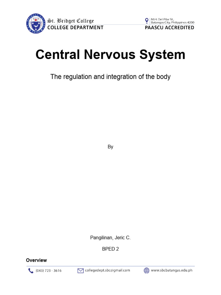Central Nervous System | PDF | Central Nervous System | Temporal Lobe