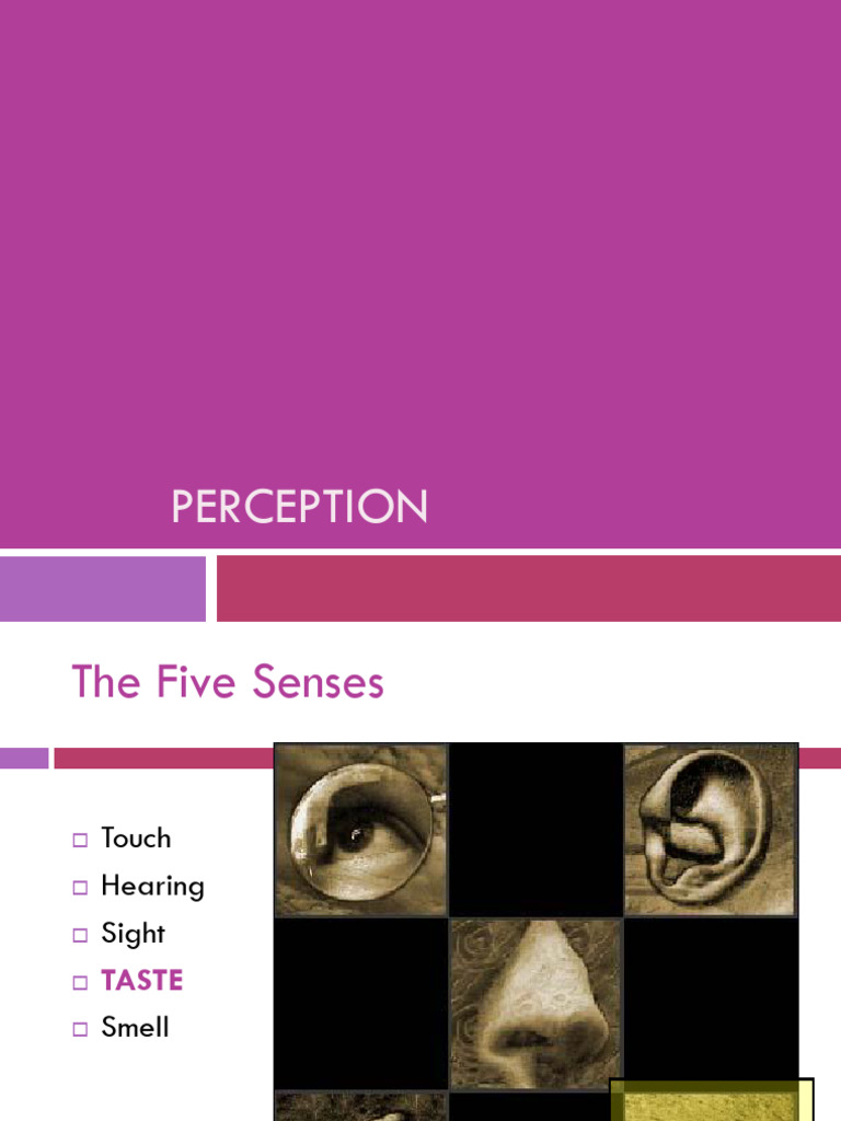 PERCEPTION Images | PDF | Perception | Cognitive Science