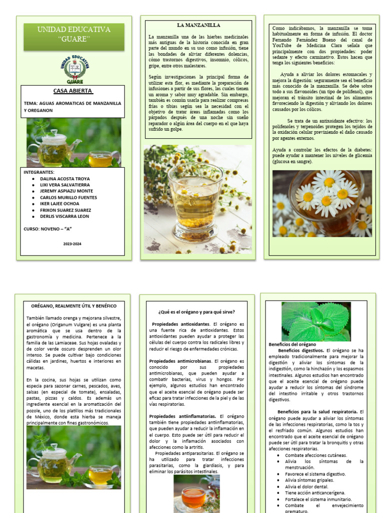 Agua Aromaticas Pdf Orégano Huerta