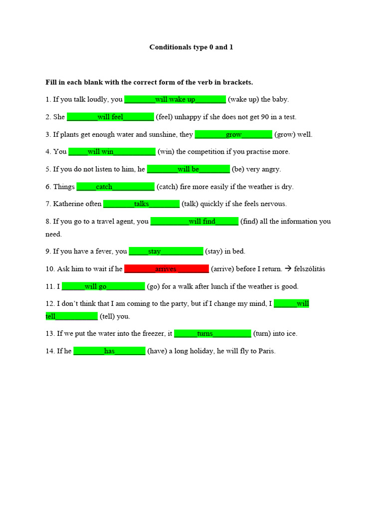 Conditionals Type 0 and 1 | PDF