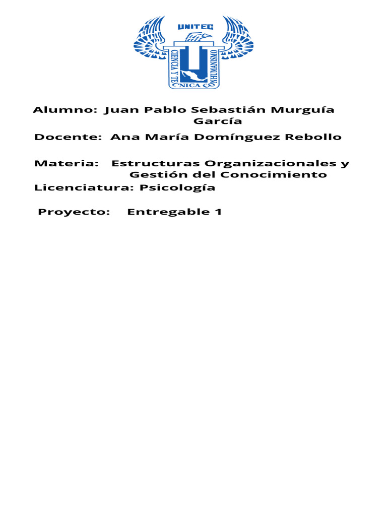Estructuras Organizacionales y Gestión | PDF | Business