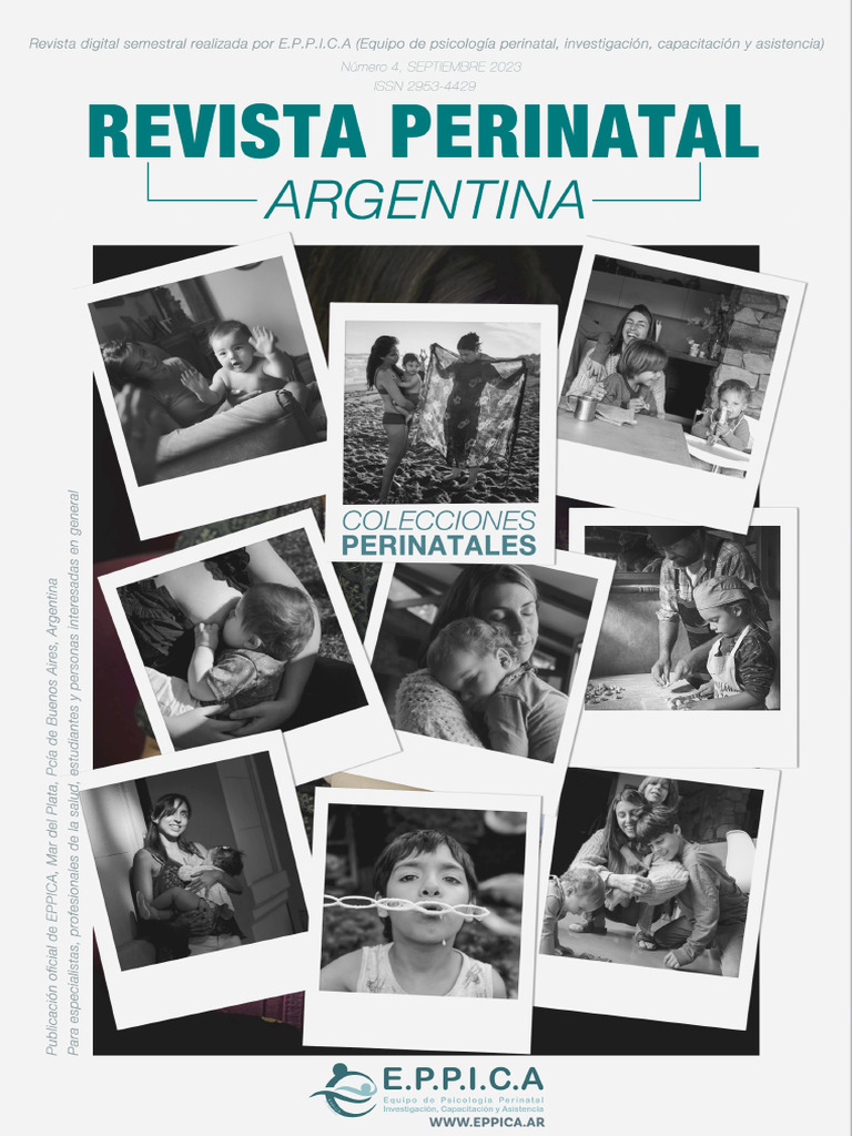 Revista Perinatal N8 | PDF | Revistas