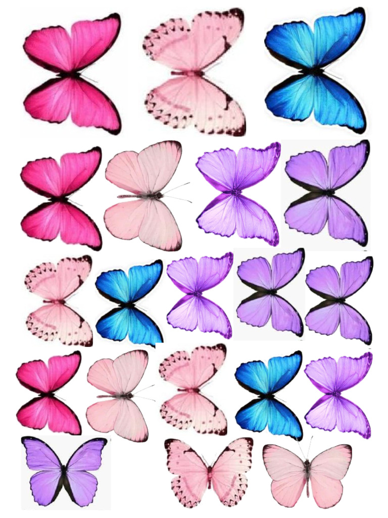 Mariposas Diversas Pdf