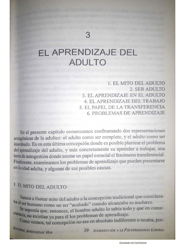 Aprendizaje en El Adulto | PDF