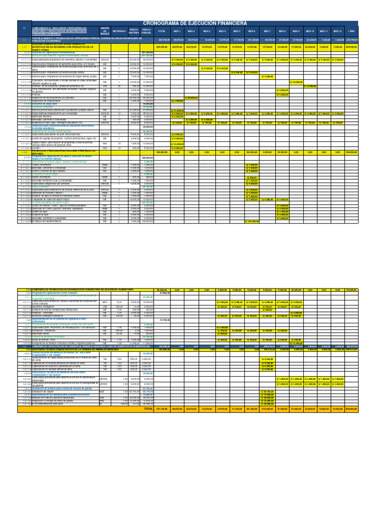 Cronograma de Ejecución | PDF | Nutrición | Dieta y nutrición