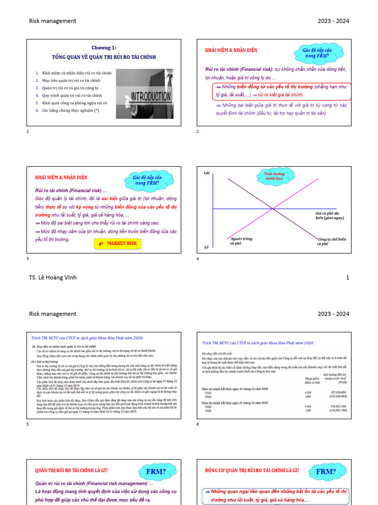 (Uel 2024) FRM - Chapter 1 | PDF