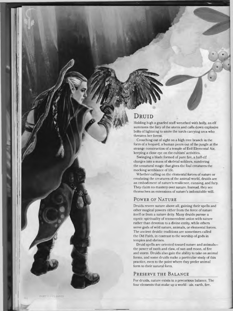 Druid | PDF