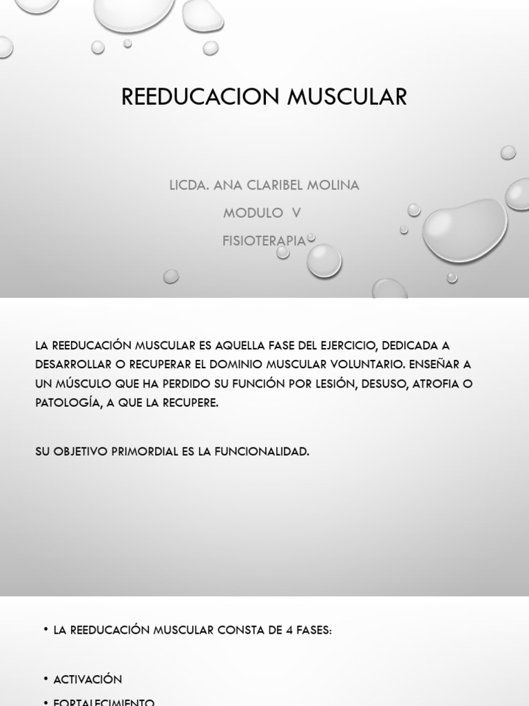 Fases de Reeducación Muscular en Fisioterapia | PDF | Músculo ...