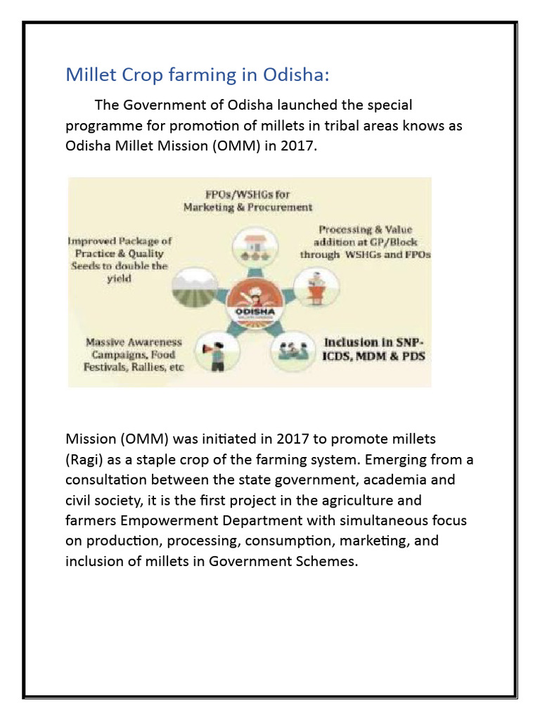 Odisha Millet Mission & Farming Insights | PDF | Agriculture ...