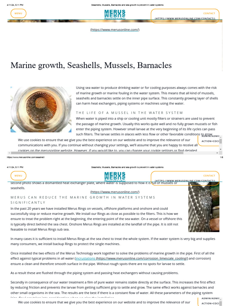 Seashells, Mussels, Barnacles and Sea Growth Is Prevent in Water ...