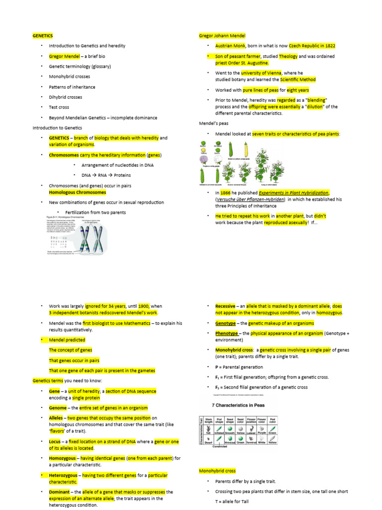 Mendelian Genetics Overview | PDF | Dominance (Genetics) | Genetics