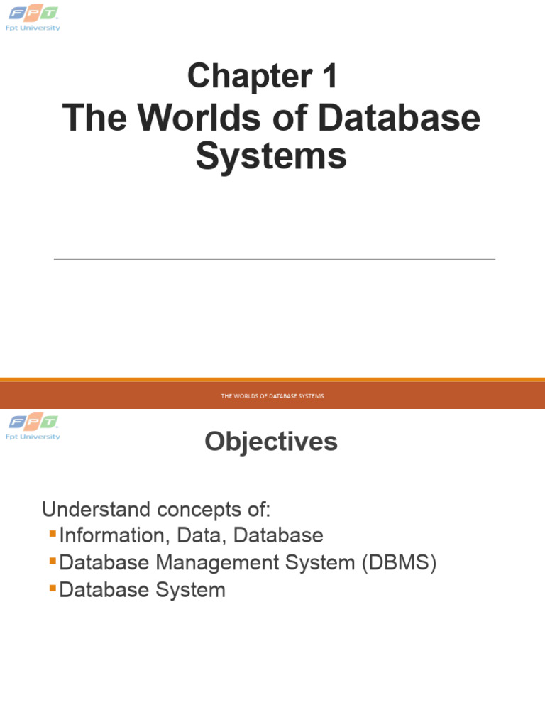 Chapter 1 | PDF | Databases | Relational Database