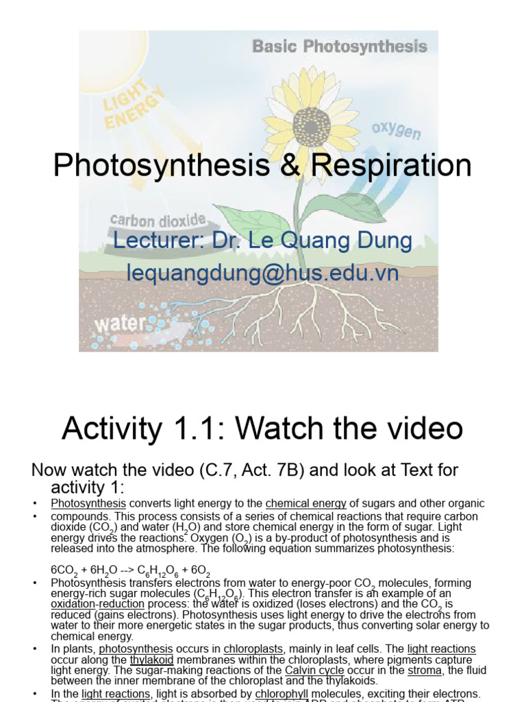 Photosynthesis | PDF | Cellular Respiration | Photosynthesis