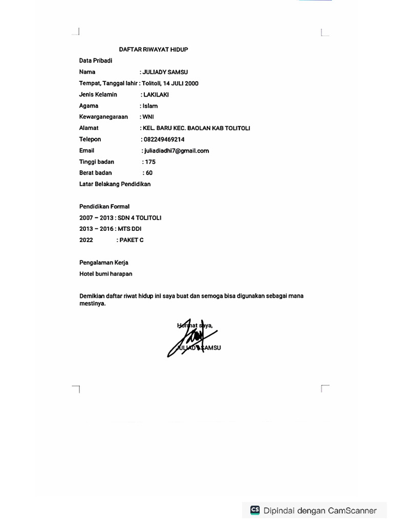 CV Julidy Samsu | PDF