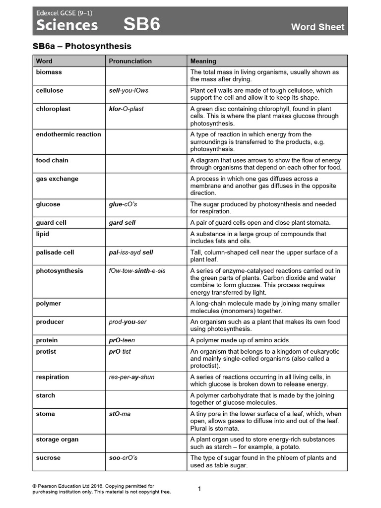 GCSE Biology - Topic 6 Keywords | PDF | Leaf | Photosynthesis