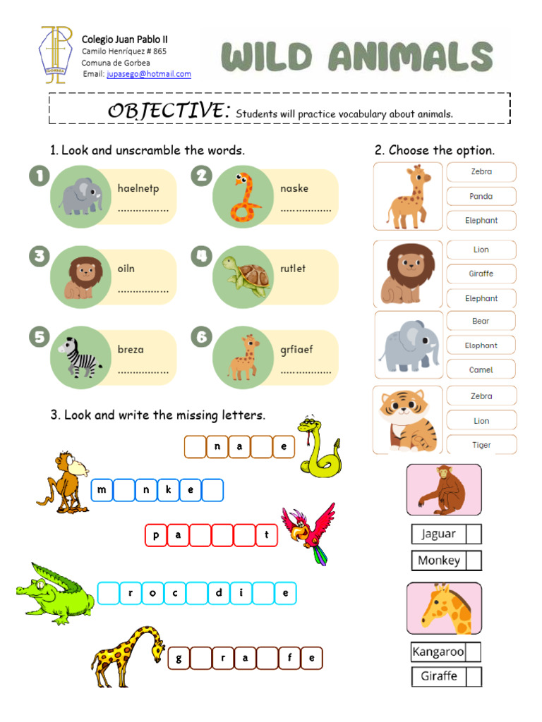 Animal Vocabulary Practice Activities | PDF | Language Arts & Discipline