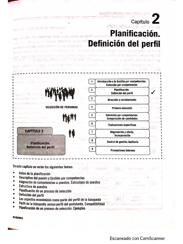 Cap 2 - Planificación. Definición Del Perfil | PDF