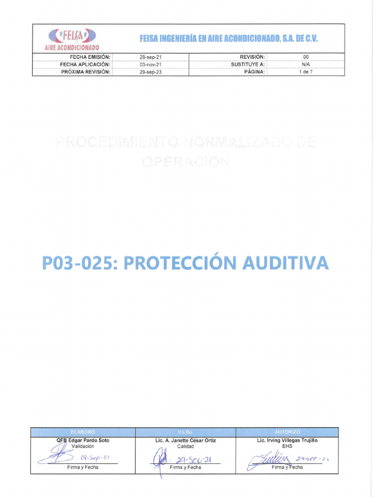 P03-025 - Proteccion Auditiva | PDF