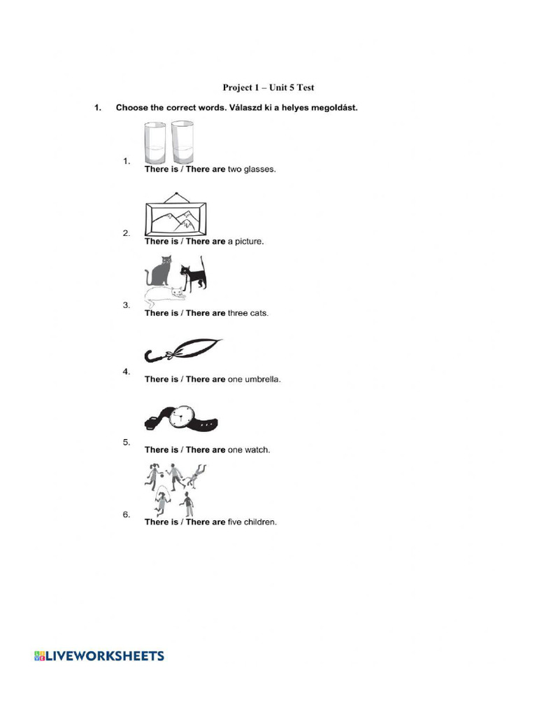 Project 1 Unit 5 Test | PDF