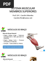 Tabela Musculos Membro Inferior | PDF | Quadril | Joelho
